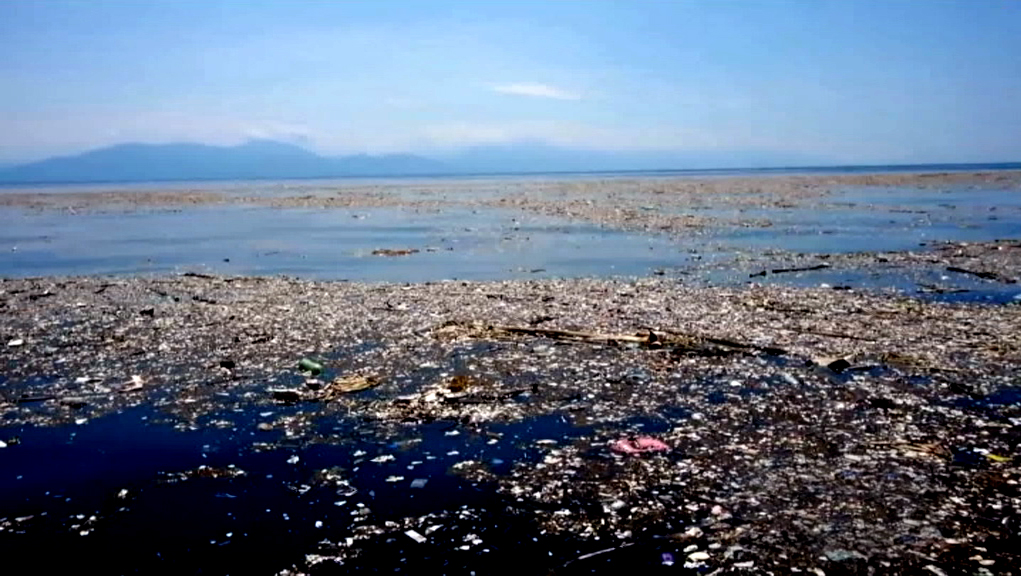 Παγκόσμια Ημέρα Περιβάλλοντος - 5 Ιουνίου | ert.gr