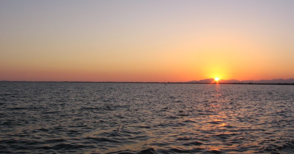 Παγκόσμια Ημέρα Υγροτόπων - 2 Φεβρουαρίου | ert.gr