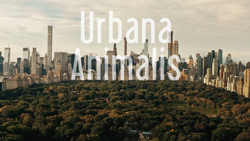 Urbana Animalis | ert.gr